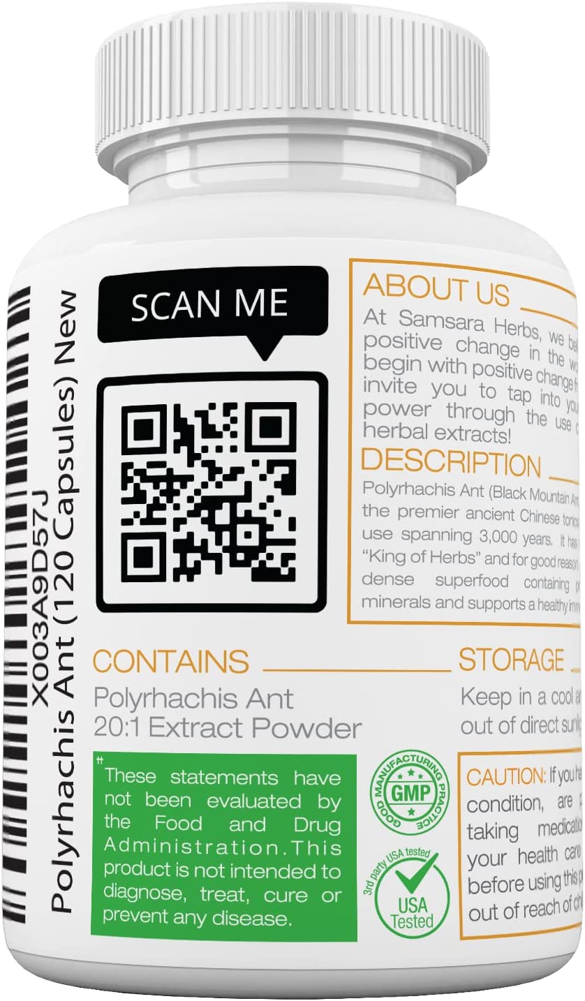 Polyrhachis Ant Capsules – Samsara Herbs