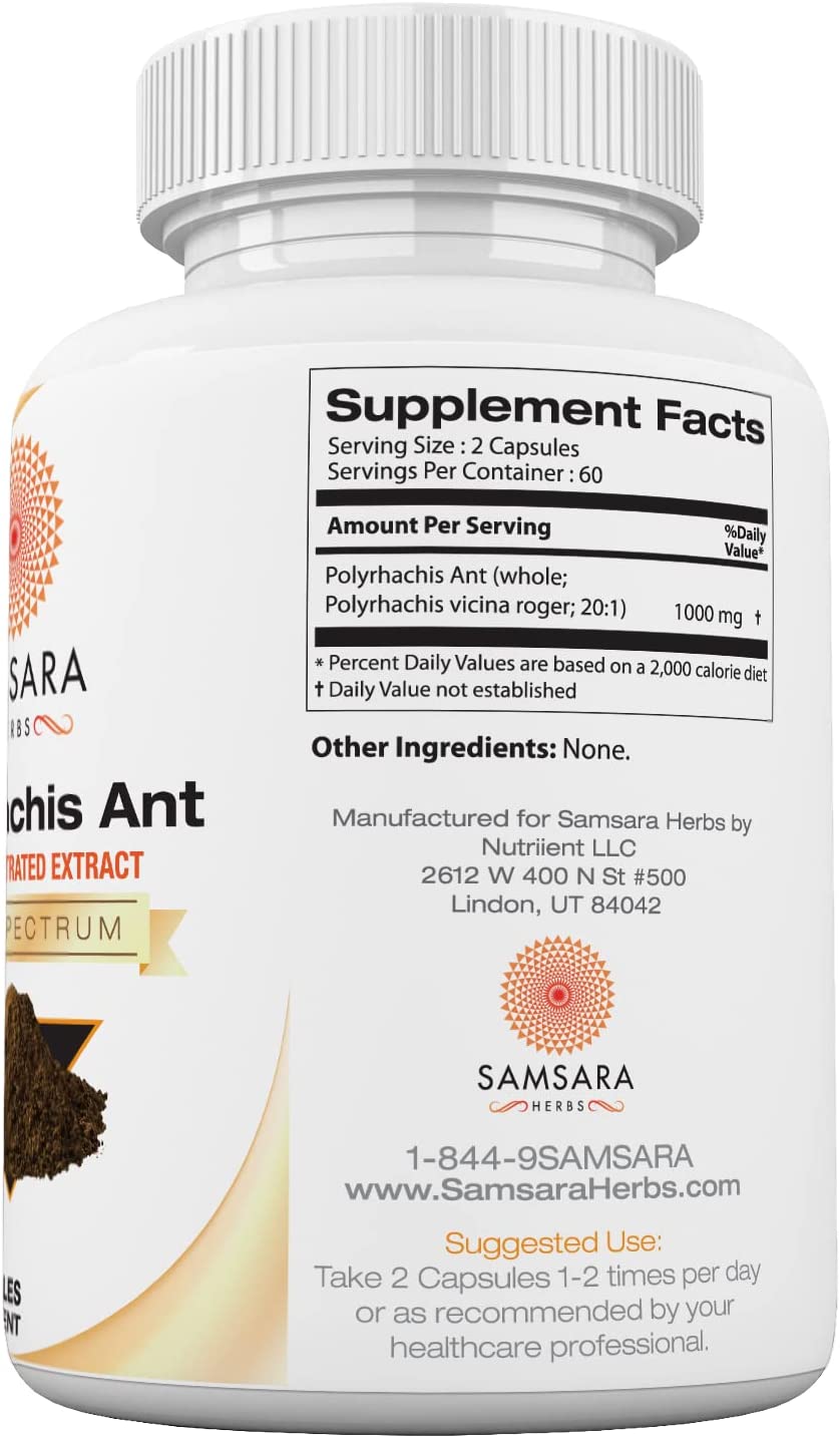 Polyrhachis Ant Capsules – Samsara Herbs